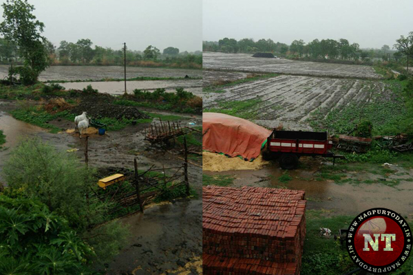 Heavy rains lash city, region - Nagpur Today : Nagpur News