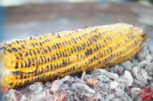 An ode to the VNIT Bhutta - Nagpur Today : Nagpur News