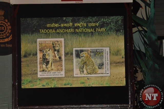 Two postal stamps based on amazing image of tigress, her cub released
