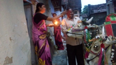 Pola, a festival of not just bullocks, but a mirror of rural life ...