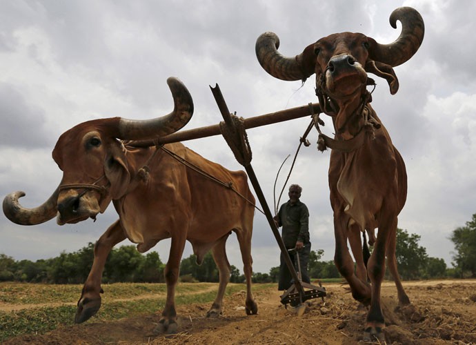 What reduced the Indian farmer from a mighty conqueror to a meek ...