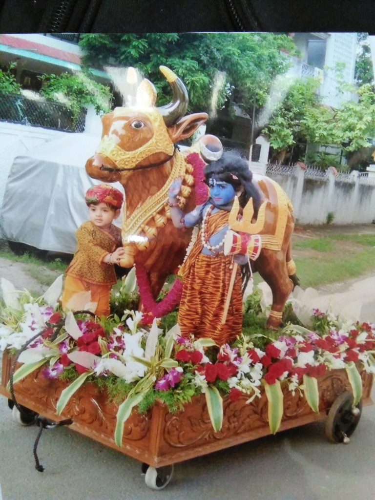 6-feet tall ‘Tana Pola’ bullock draws attraction in New Subhedar Layout ...