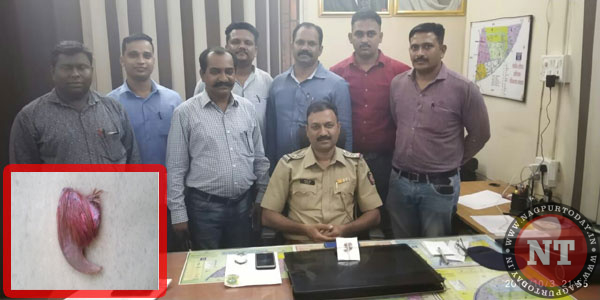 Jaripatka cops nab poacher, seize tiger nail Jaripatka cops nab poacher, seize tiger nail