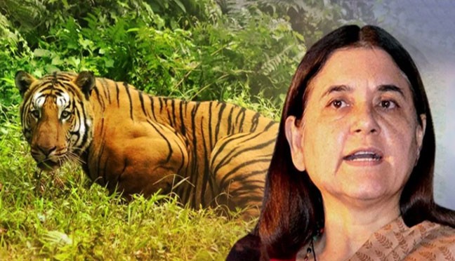 War veteran Vice Admiral M P Awati passes away at 91 – Nagpur Today ...