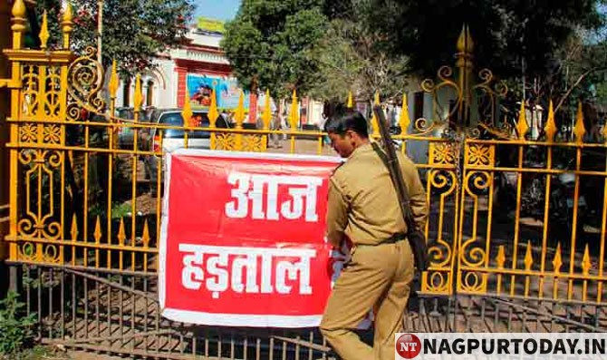 Who is gonna win the Orange Cap in IPL 2020? – Nagpur Today : Nagpur News