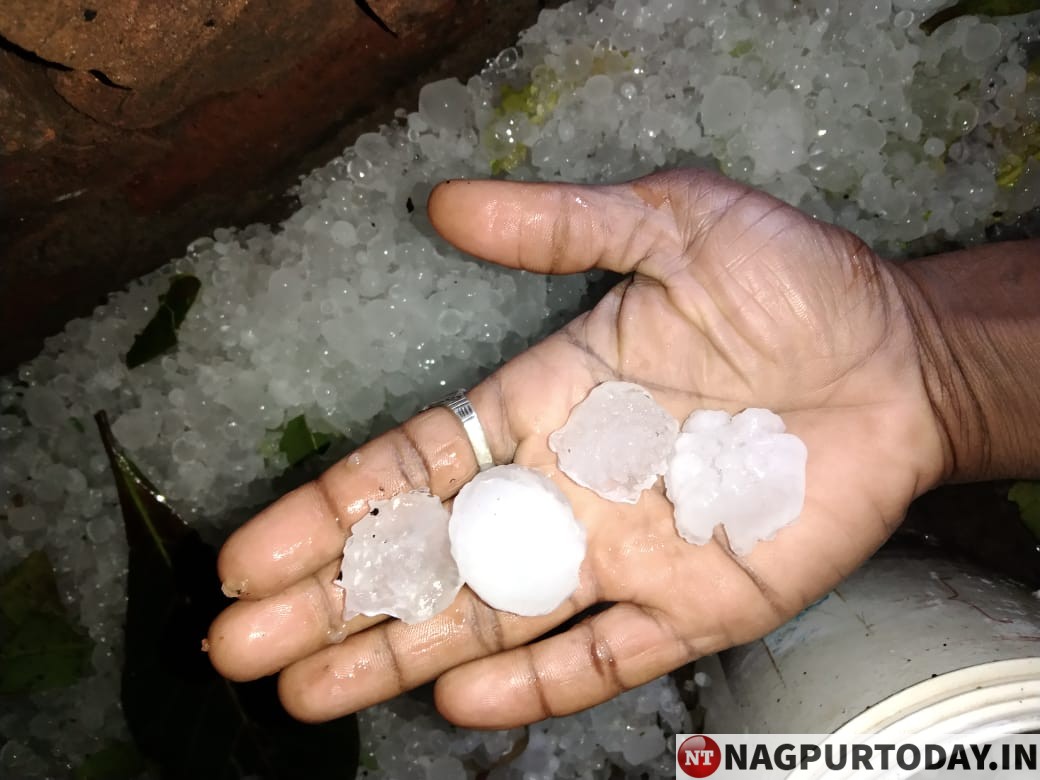 Thunderous rain numbs Nagpur, damages crop at many places in Vidarbha Nagpur Today : Nagpur News