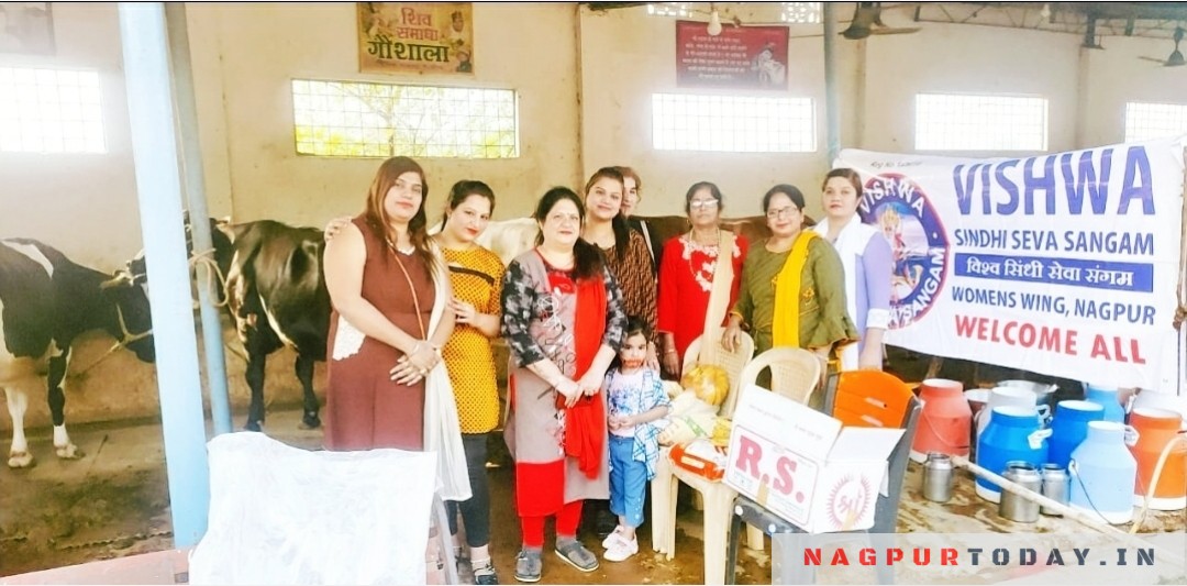 Resplendent colours & aura that traverse one to Rajasthan Nagpur Today ...