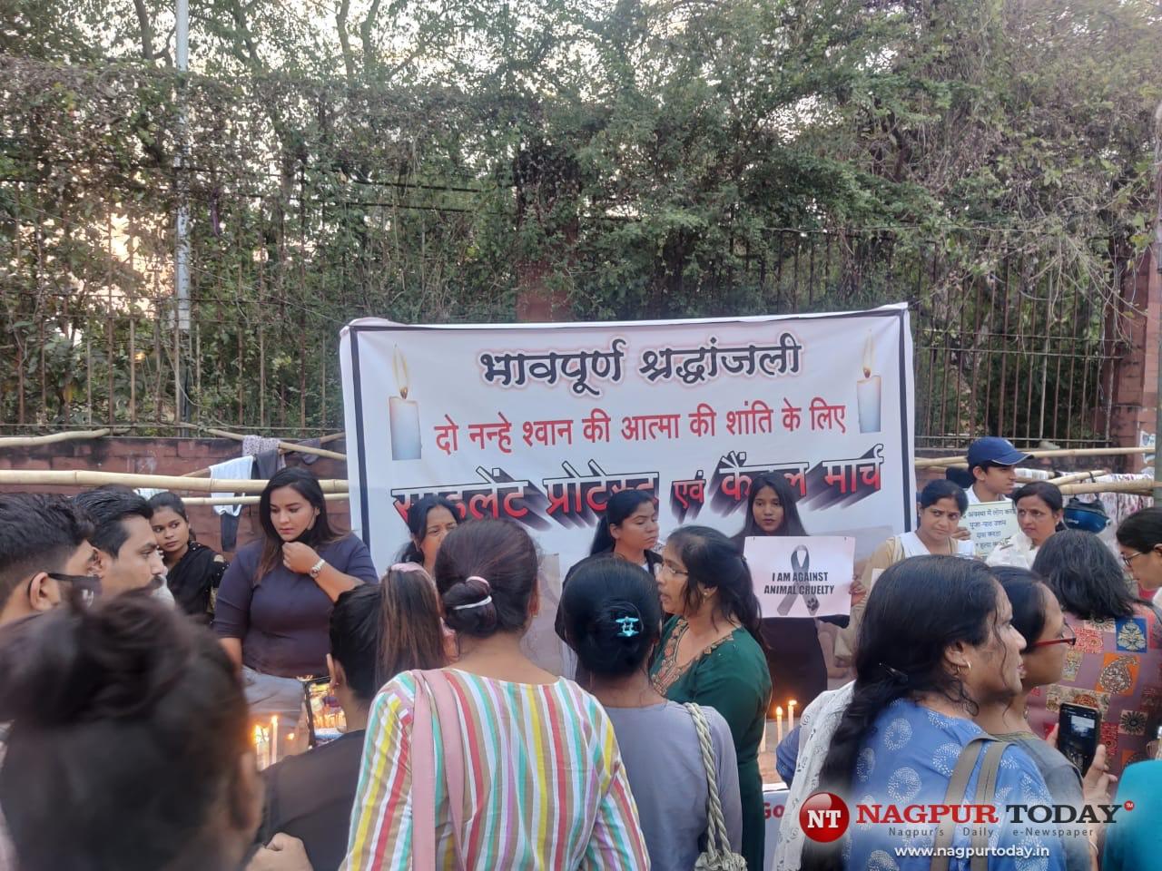 Puppies burned in Nagpur: Silent protest march held at Samvidhan Square