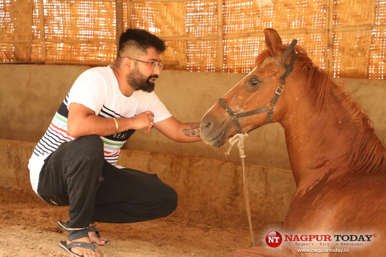 Impacting the lives of the animals in incredible ways, enter NGO Dog ...