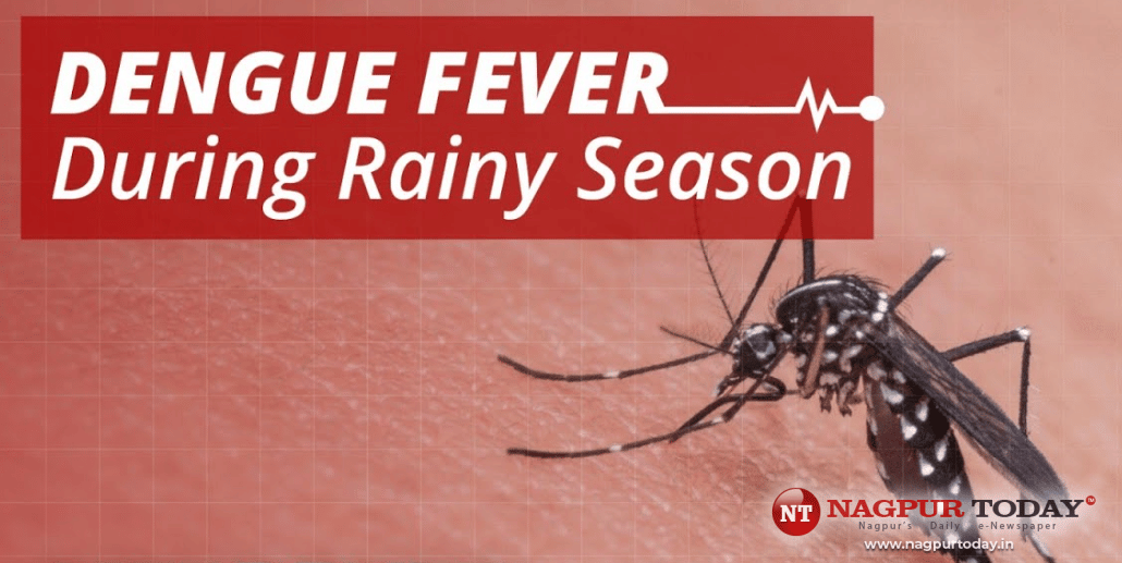 Dengue Prevention Quotes