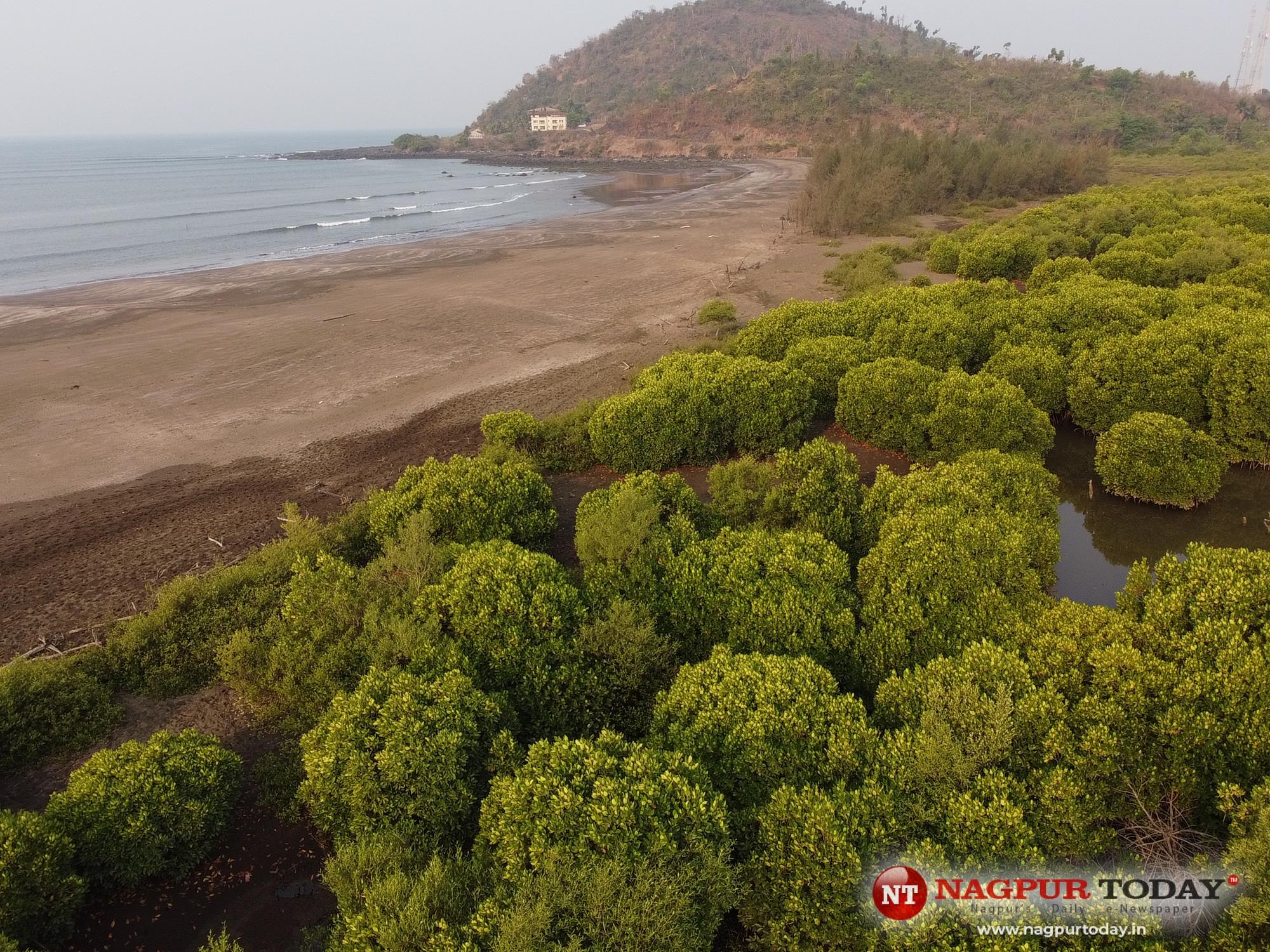 Seashore spanning 55-hectares in coastal Maharashtra submerged