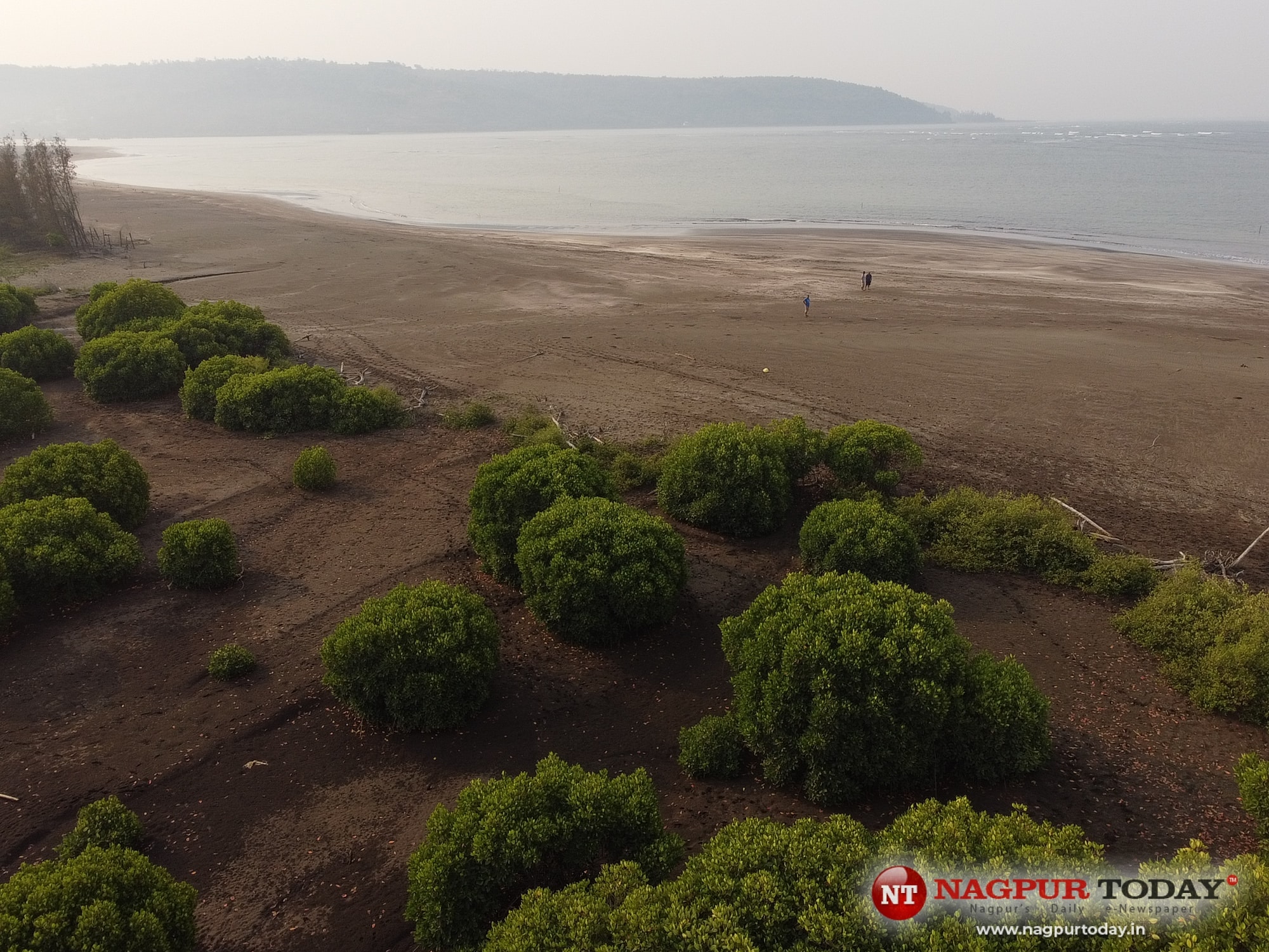 Seashore spanning 55-hectares in coastal Maharashtra submerged