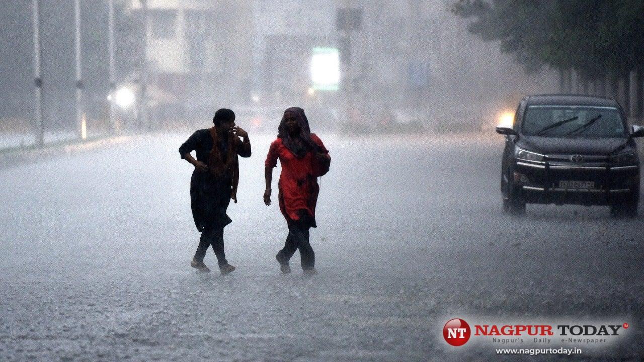 Vidarbha witnessed maximum rainfall after nine years