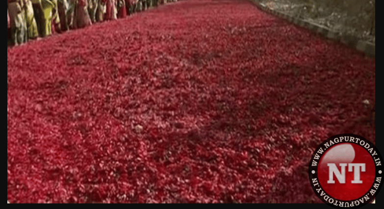 Video : Cong plenary session: Six-ton rose-carpet welcome for Priyanka ...