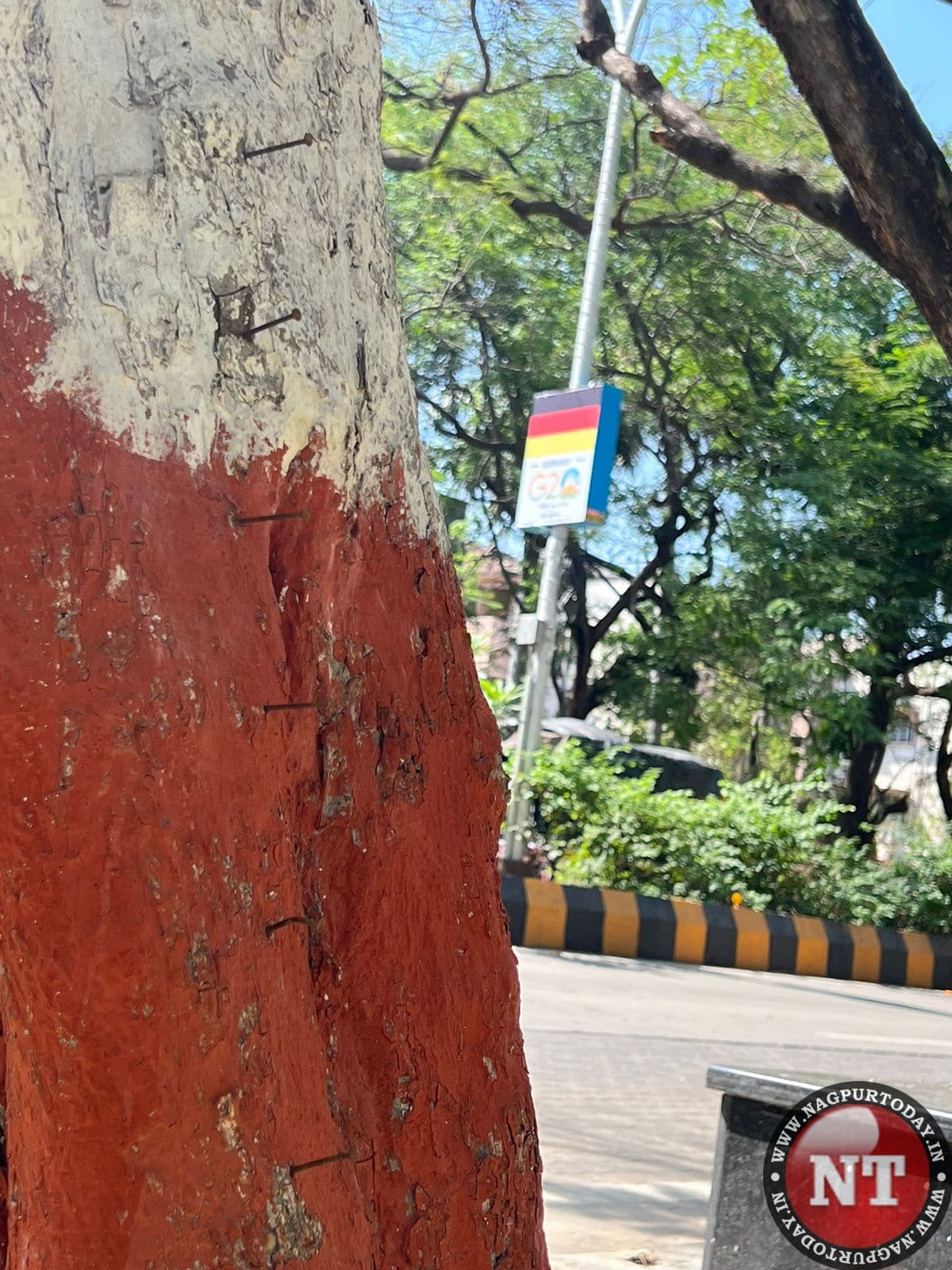 Congress leader Vishal Muttemwar raises issue of damage caused to trees ...