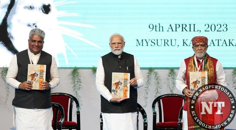 Big Cat growing: 3,167 tigers in India, PM Modi releases census figures