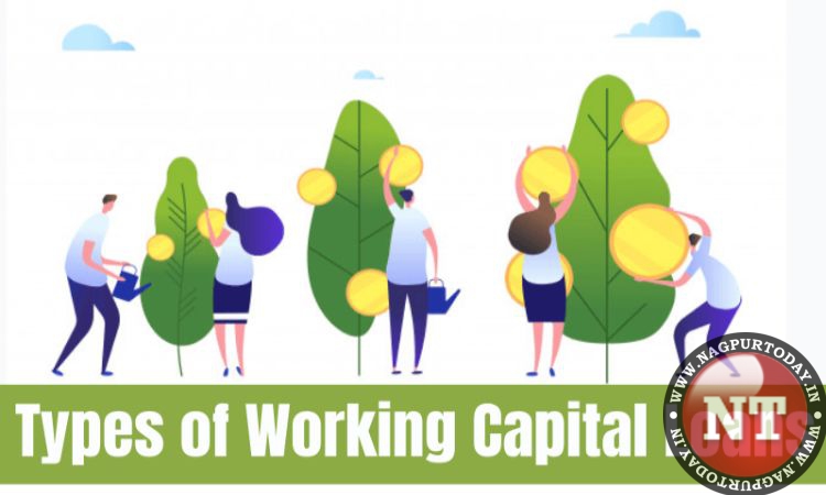 Different Types of Working Capital Loans and How to Use Them