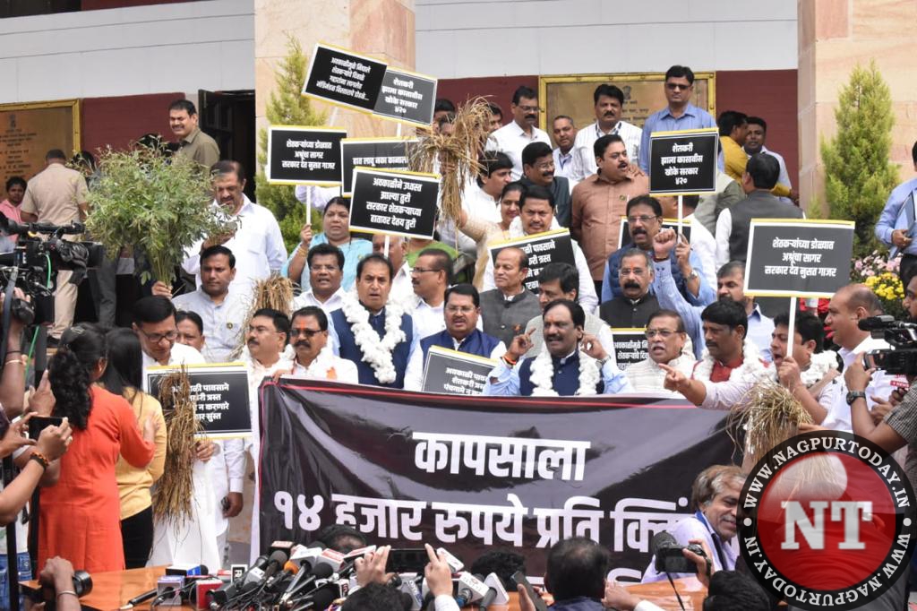 'शेतकऱ्यांच्या डोळ्यात अश्रुंचा सागर, सरकार देते नुसते गाजर' ; अधिवेशनाच्या दुसऱ्या दिवशीही ...