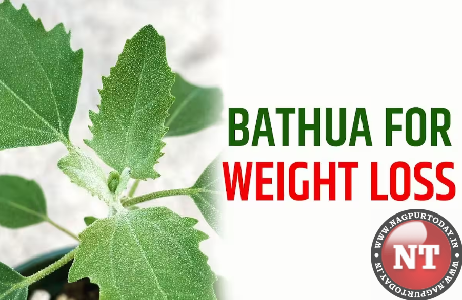 Winter Special: How Bathua May Help Lose Weight In Colder Months? 5 ...