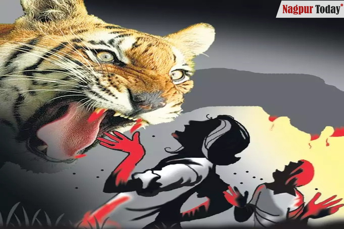 Man-animal conflict: 421 people killed in wildlife attacks in State in ...