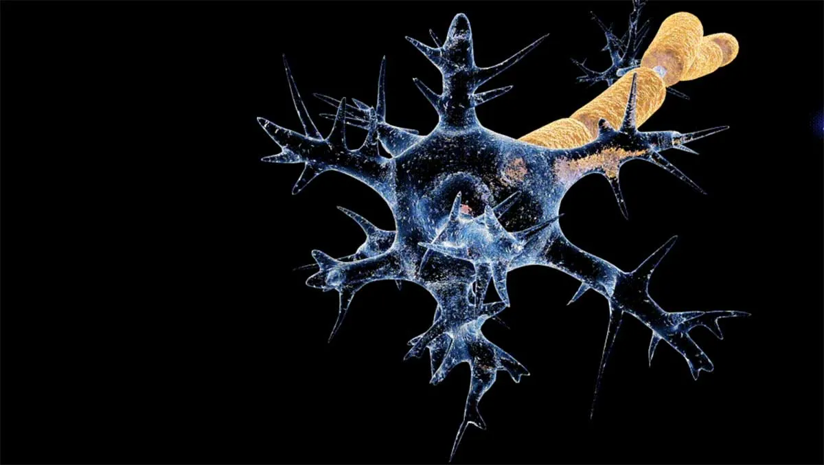 Maha health minister confirms 1st GBS death in Pune