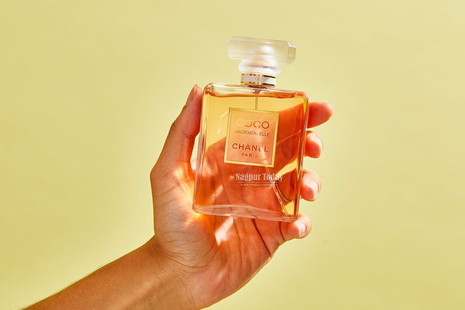 High-End Scents That Smell Like Confidence in a Bottle