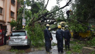 NMC’s Fire Brigade responds to tree collapse incidents as rain lashes ...