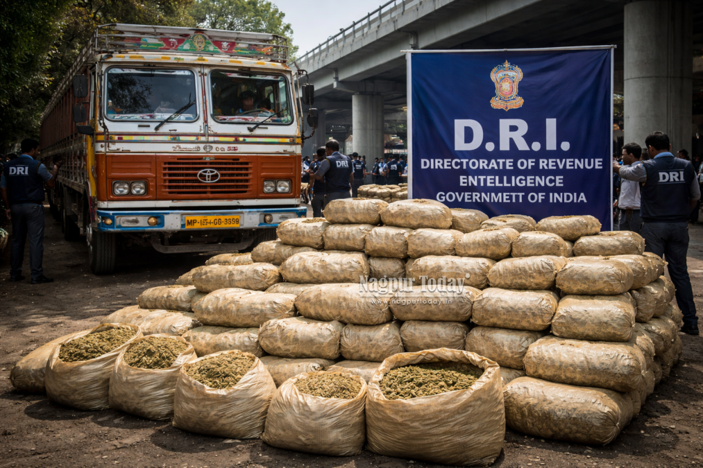 DRI busts massive ganja haul, 522 kg seized in pre-dawn trap near Nagpur