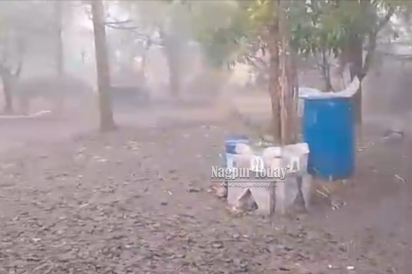 बीडमध्ये अवकाळीचा कहर; थाई जांभूळ बाग उद्ध्वस्त, २५० केळीची झाडे जमीनदोस्त